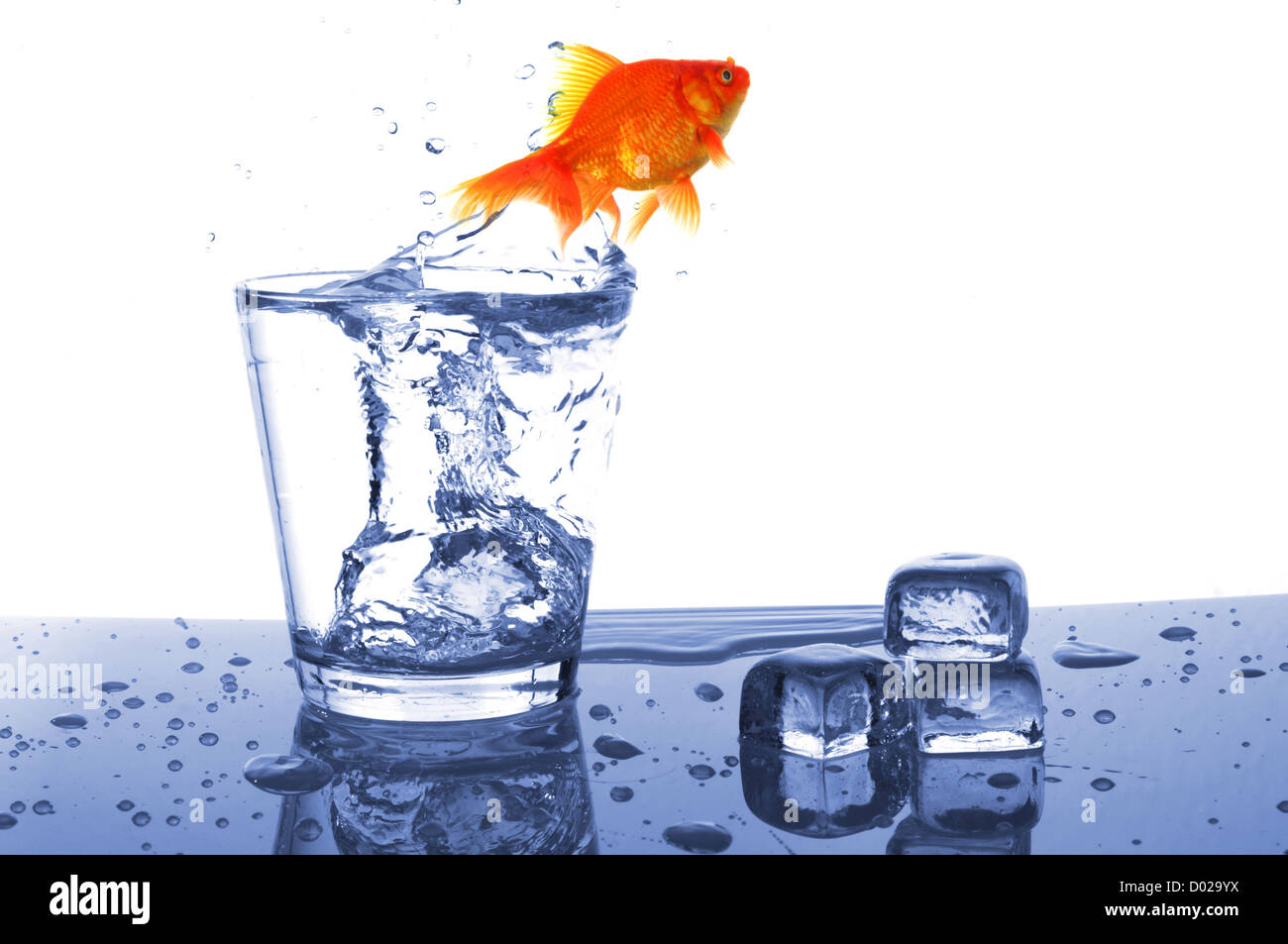 goldfish in drink glass showing jail prison free or freedom concept ...