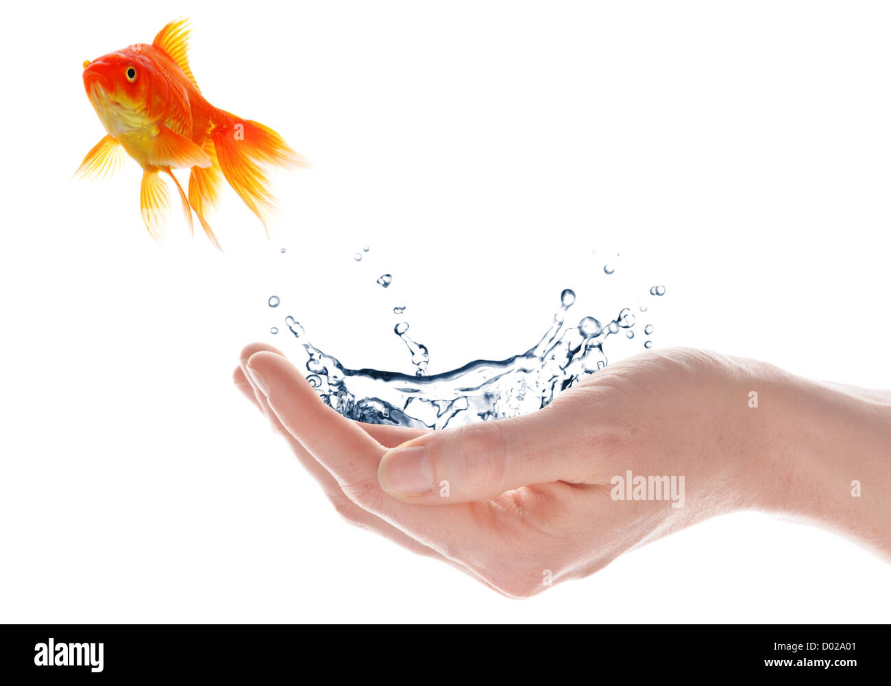 freedom free flee or escape concept with goldfish and hand Stock Photo ...