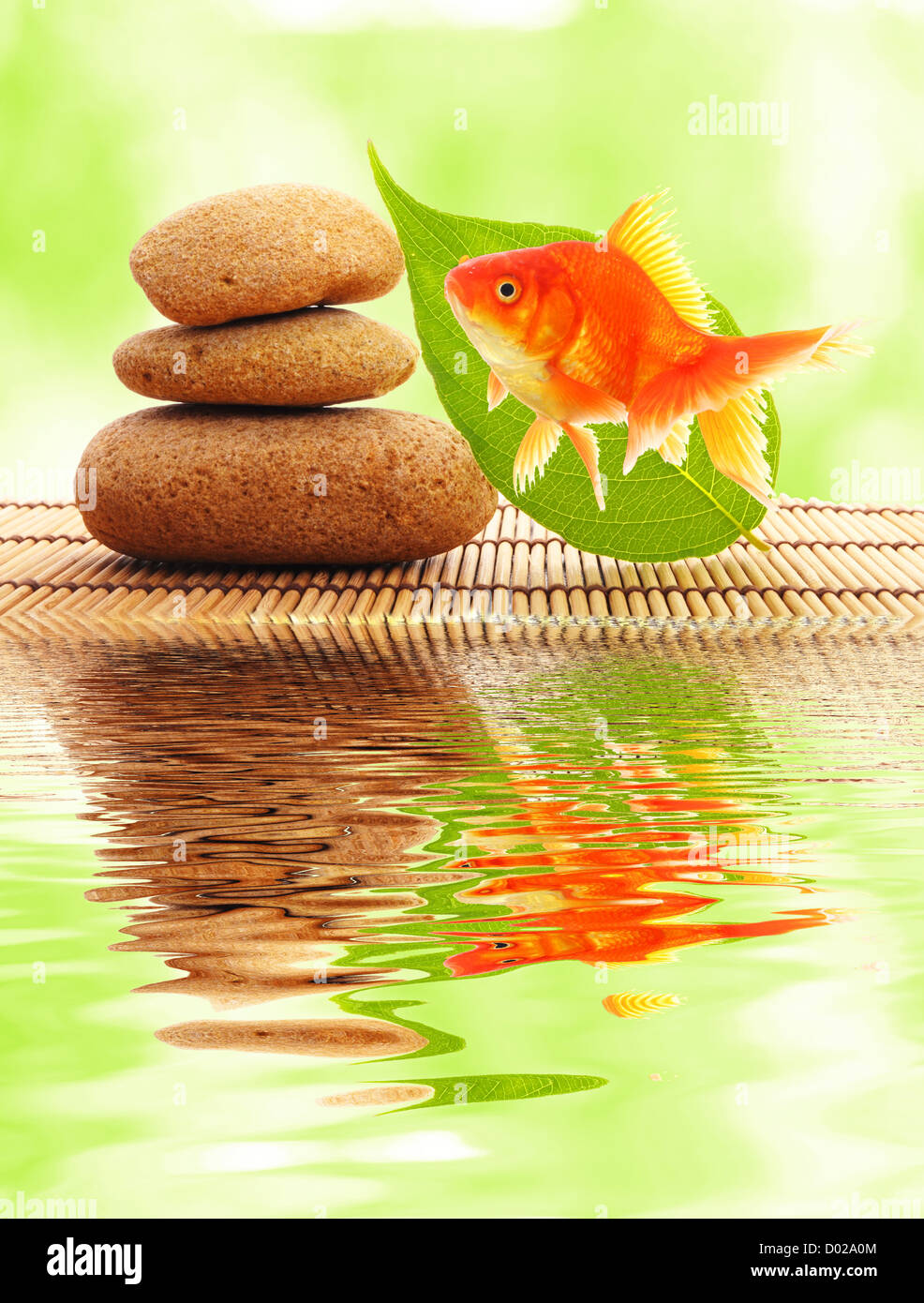 zen or spa concept with stones goldfish and water reflection Stock ...