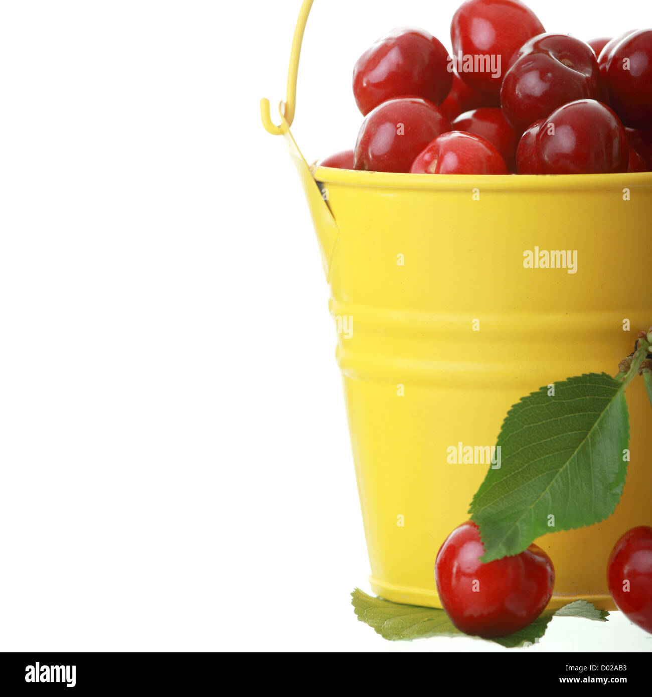 Cherries in colorful yellow metal bucket Stock Photo - Alamy