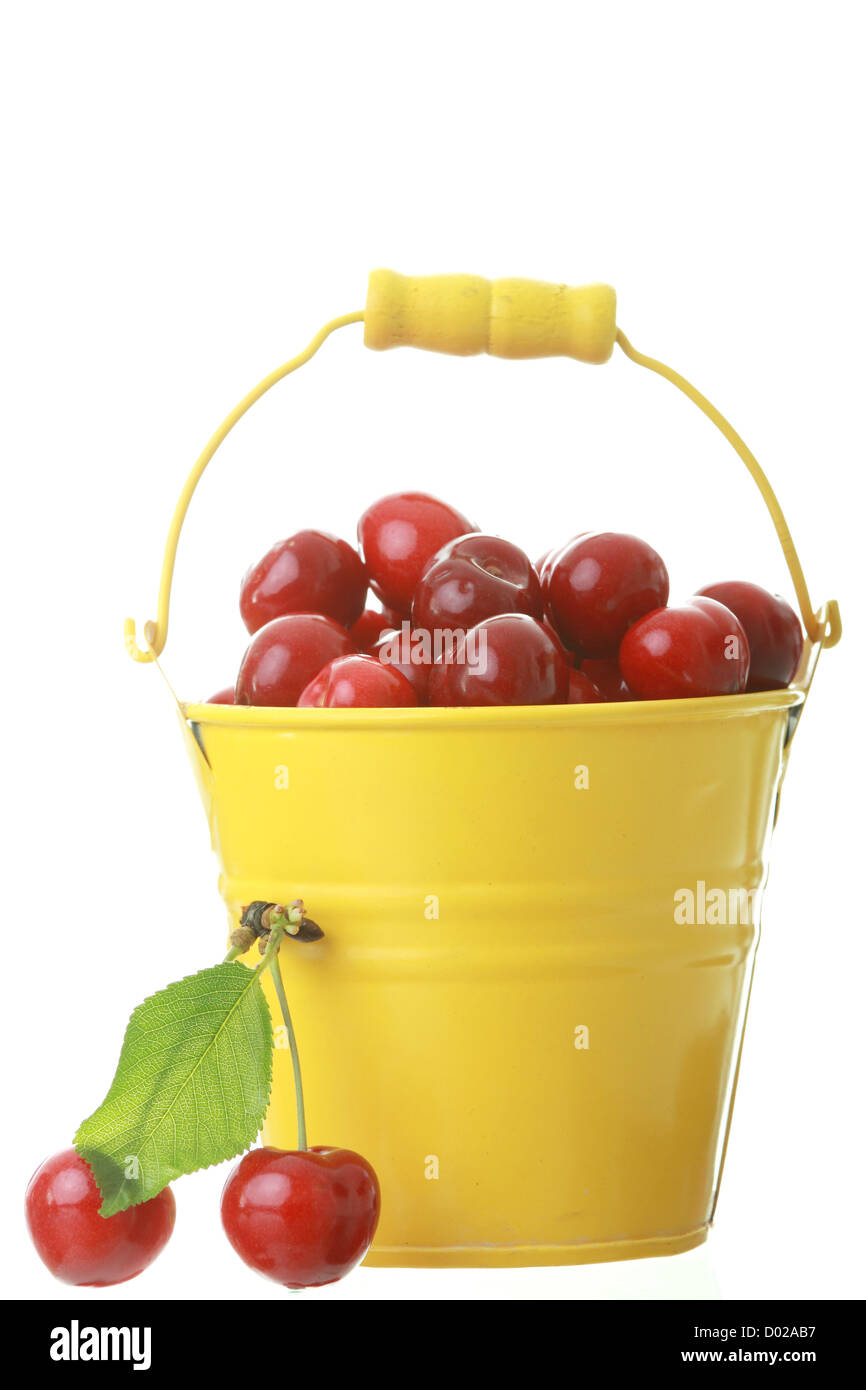 Cheries in colorful yellow metal bucket Stock Photo - Alamy