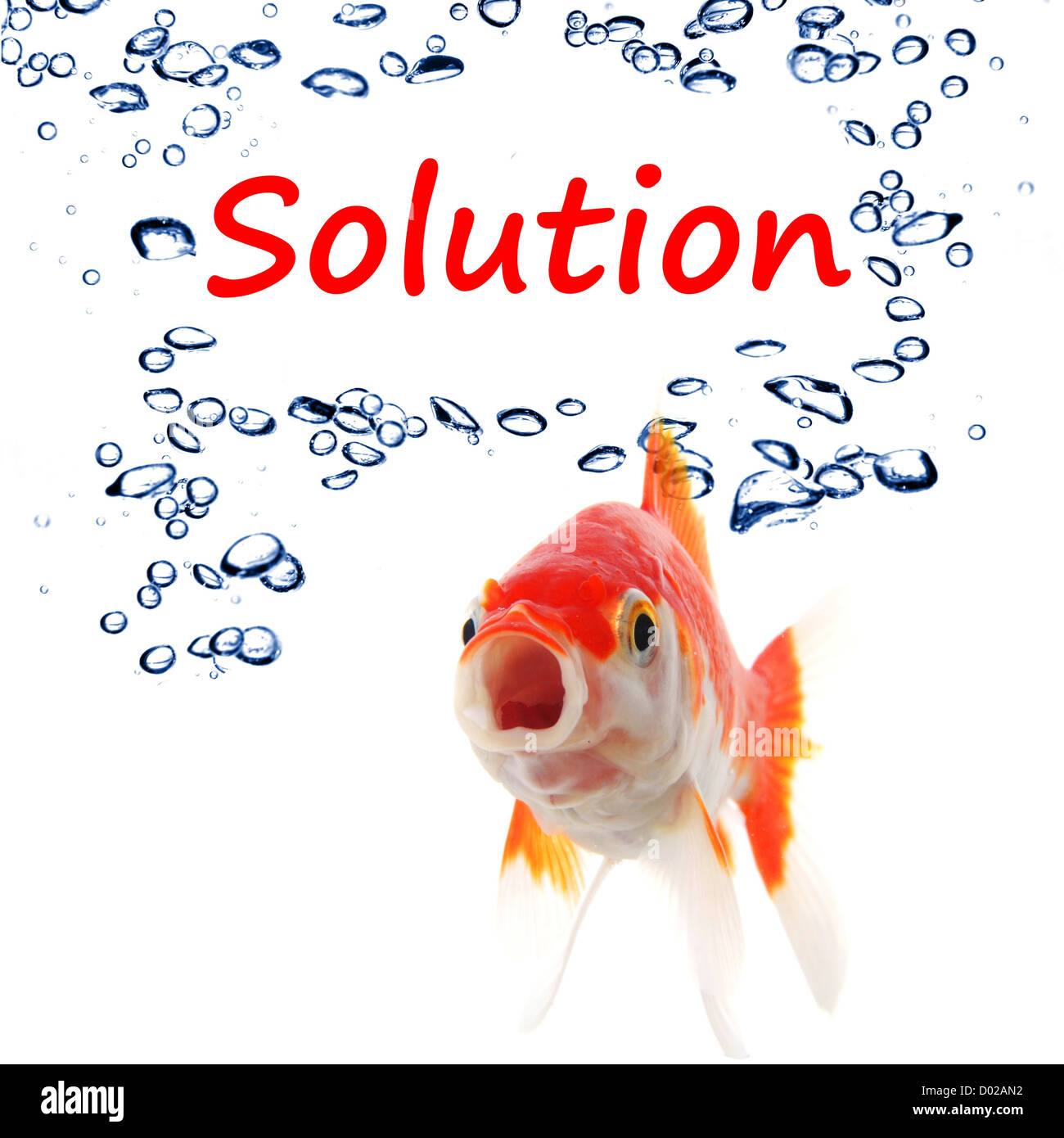 solution word and goldfish showing business problem or success concept ...