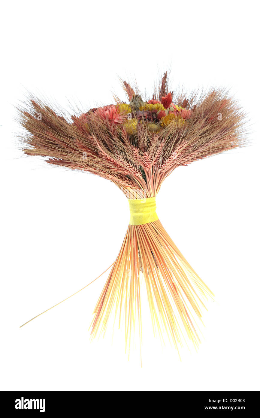 A bouquet of wheat and flowers isolated Stock Photo - Alamy