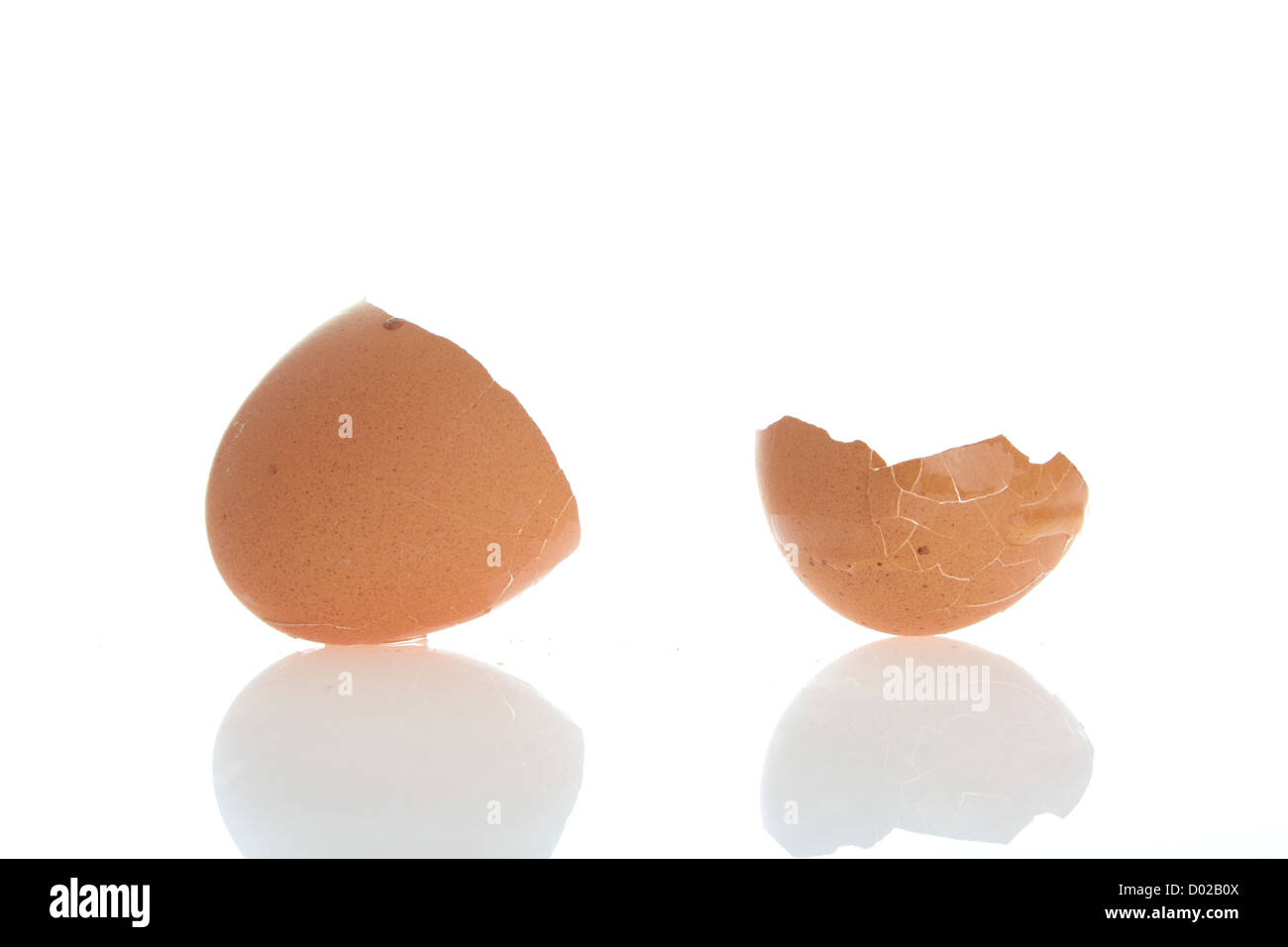 Inside of eggshell hi-res stock photography and images - Alamy