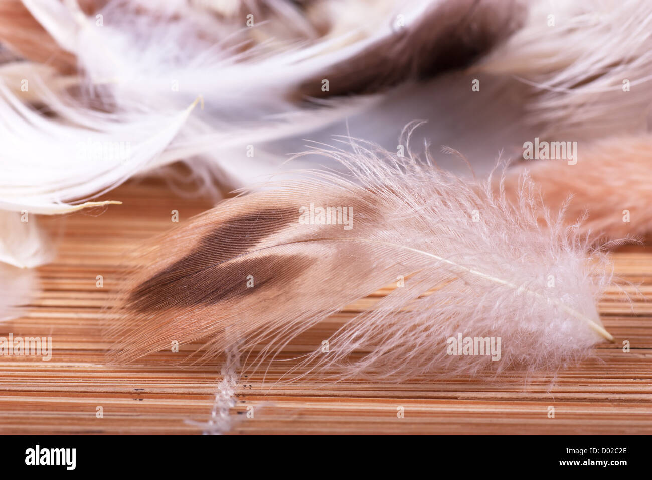 A heap of soft feathers on a straw background Stock Photo - Alamy