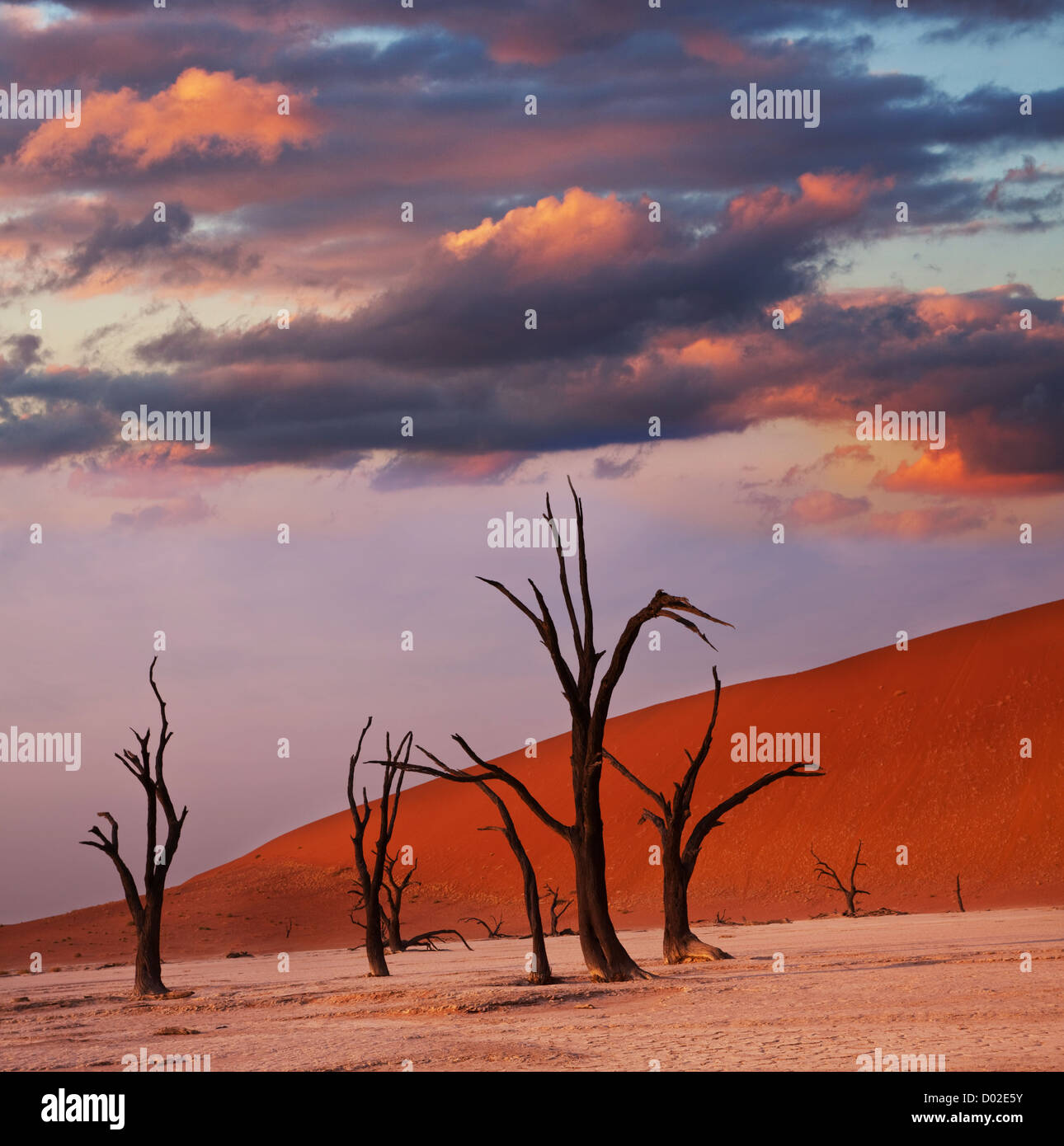 Dead valley in Namibia Stock Photo - Alamy