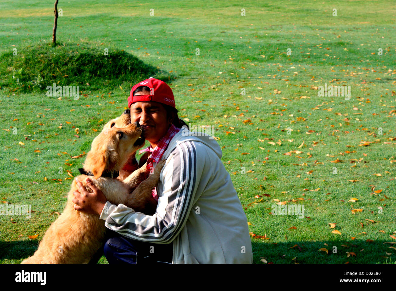 Indian puppies hi-res stock photography and images - Alamy