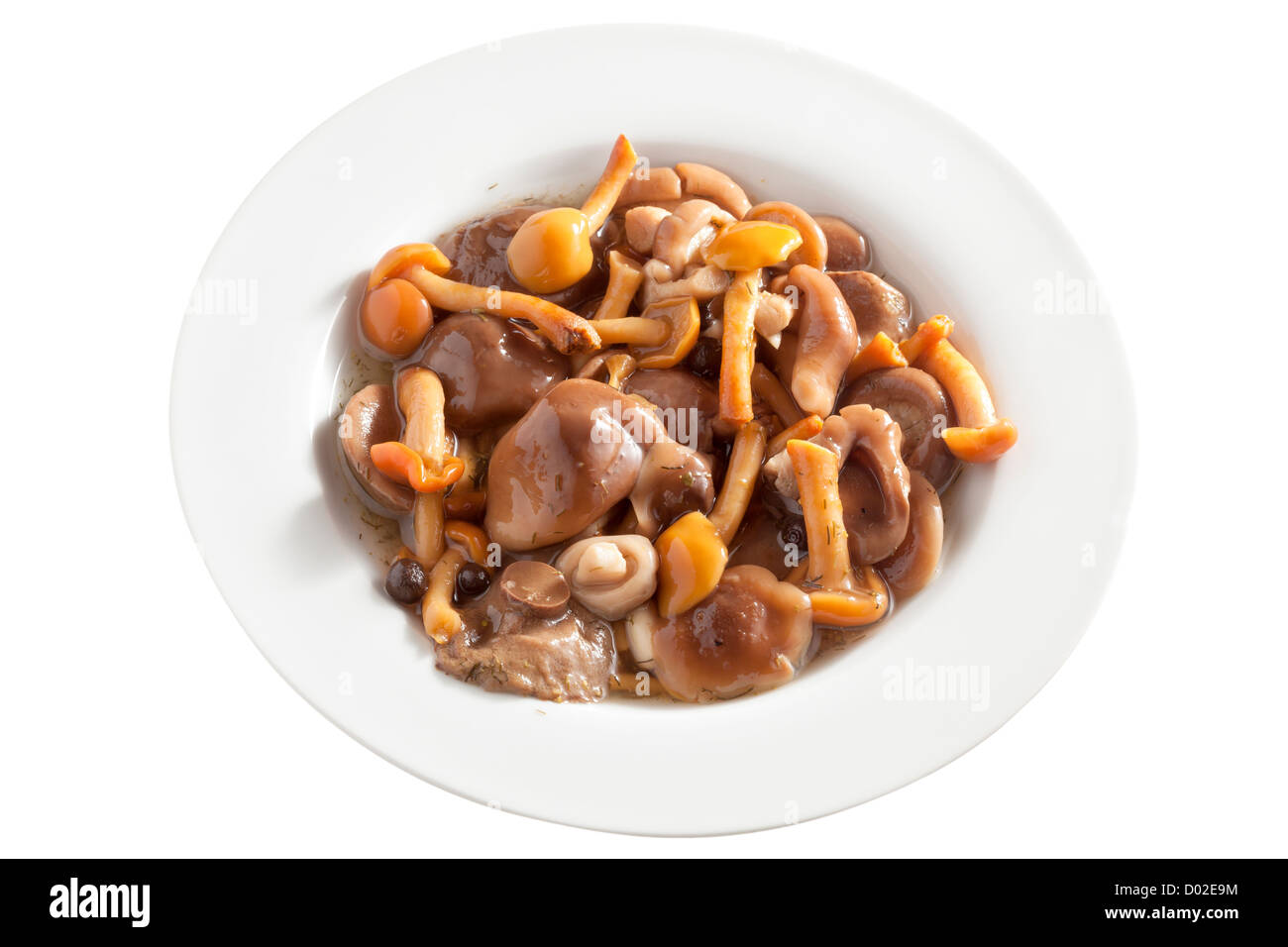 mixed mushrooms in oil Stock Photo - Alamy