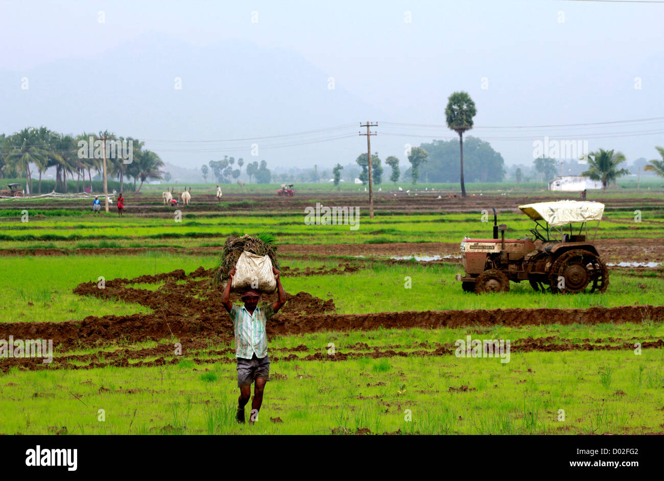 Rice farming tractor hi-res stock photography and images - Alamy