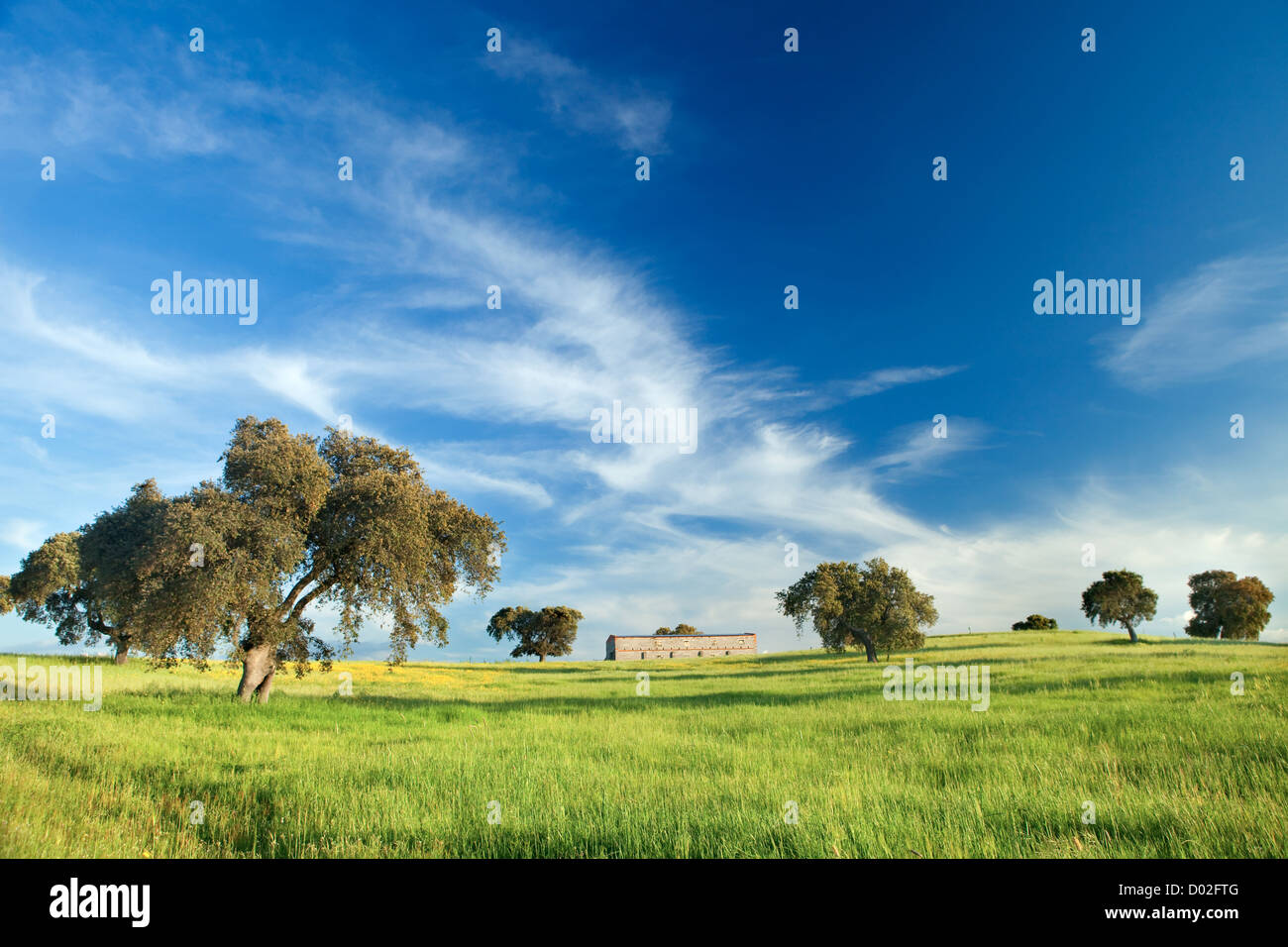 Landscape with some trees and a beautiful sky Stock Photo - Alamy
