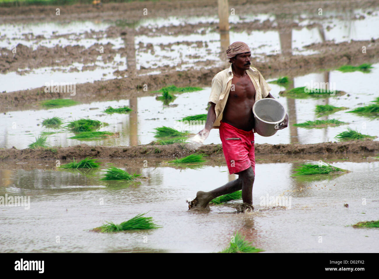 India irrigation farm hi-res stock photography and images - Alamy