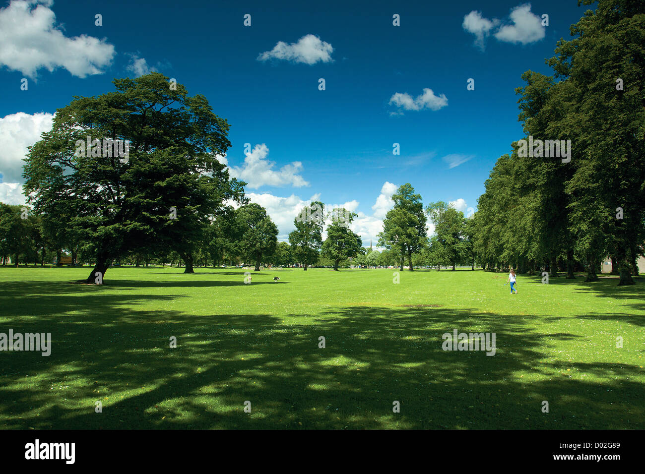 South Inch, Perth, Perthshire Stock Photo - Alamy