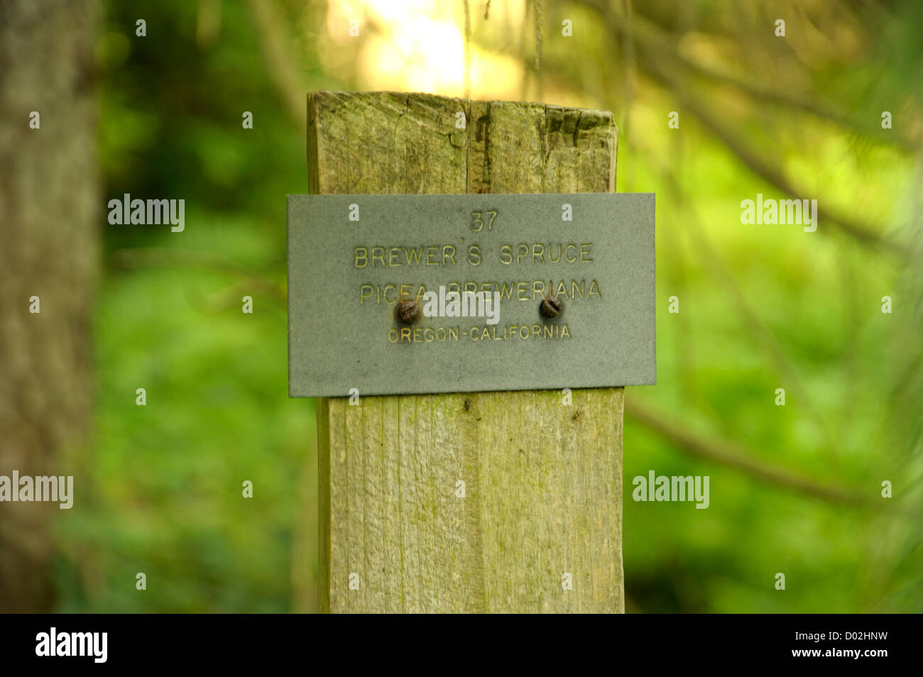 Tree Label High Resolution Stock Photography and Images - Alamy