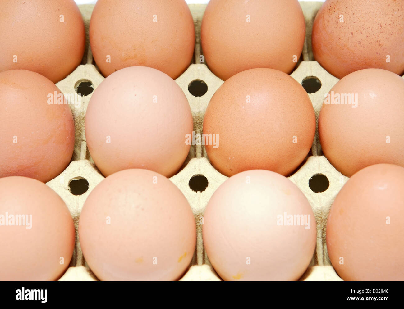 Macro texture brown eggshell hi-res stock photography and images - Alamy