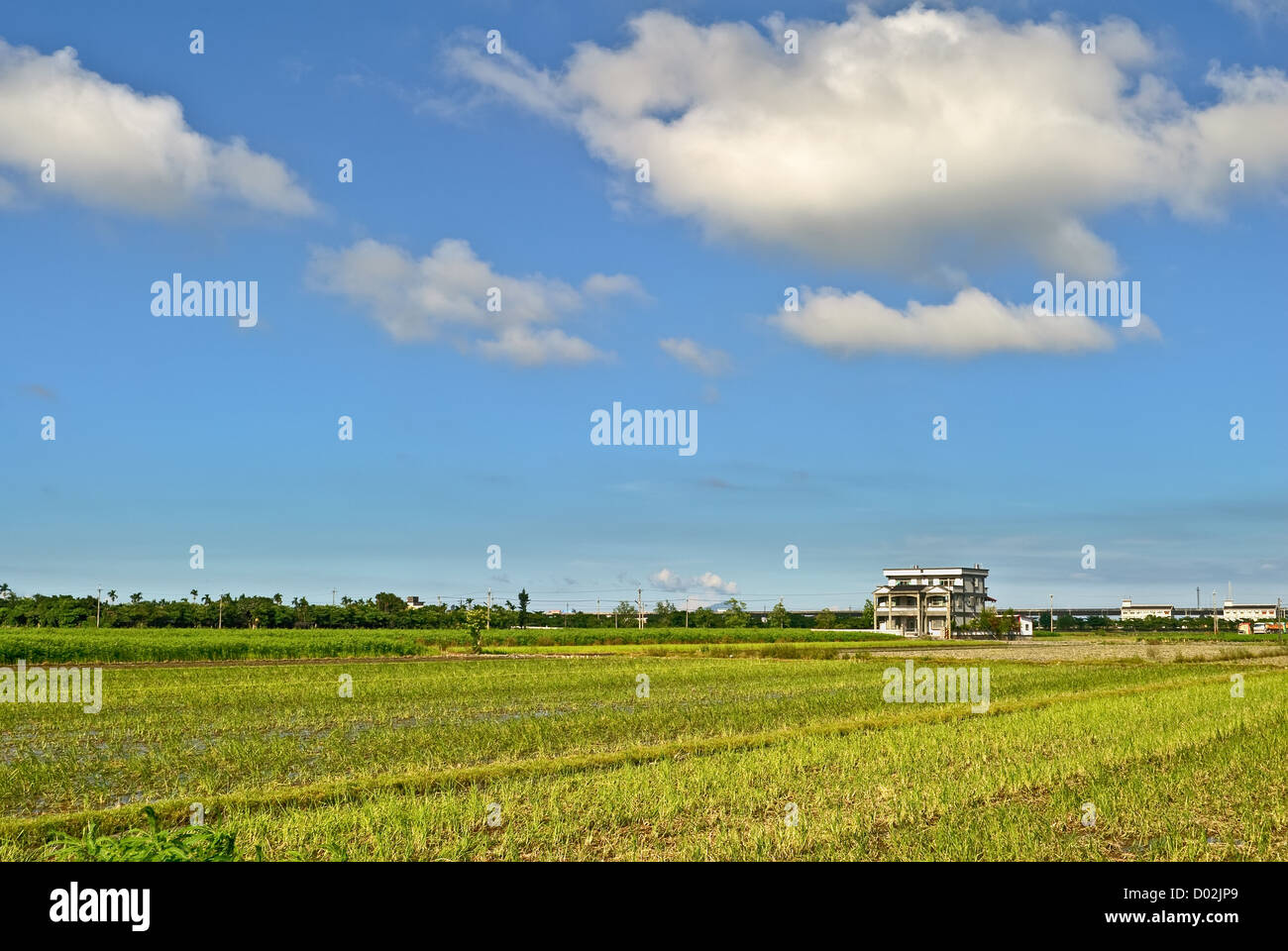Rural scenery of farm under blue sky Stock Photo - Alamy