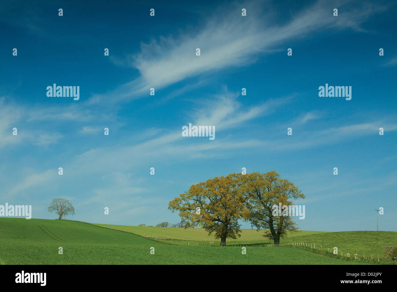 Fields near Roxburgh and the River Teviot, Scottish Borders Stock Photo ...
