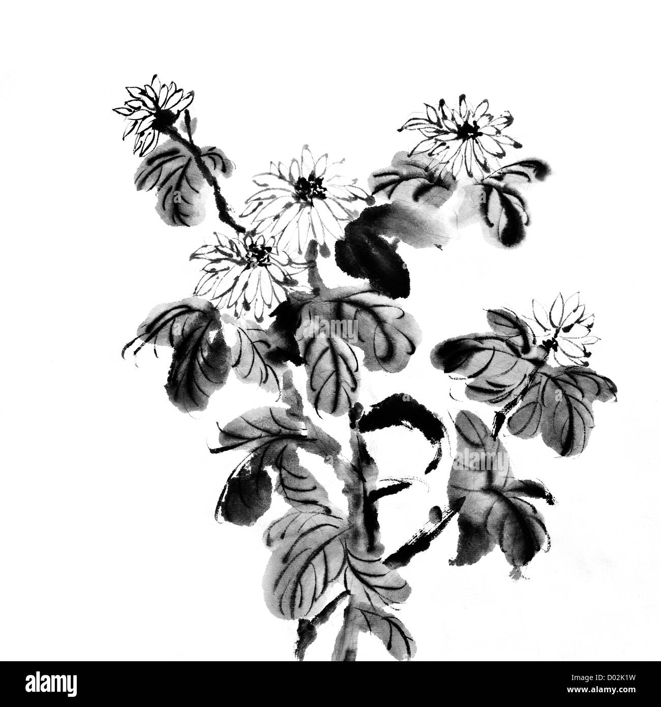Chinese Flower Paintings Black And White