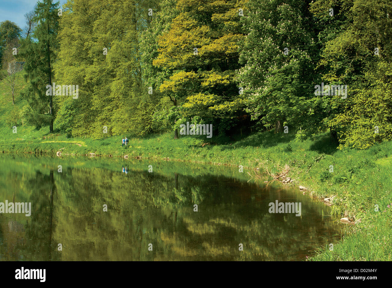 The River Teviot near Kelso, Scottish Borders Stock Photo - Alamy