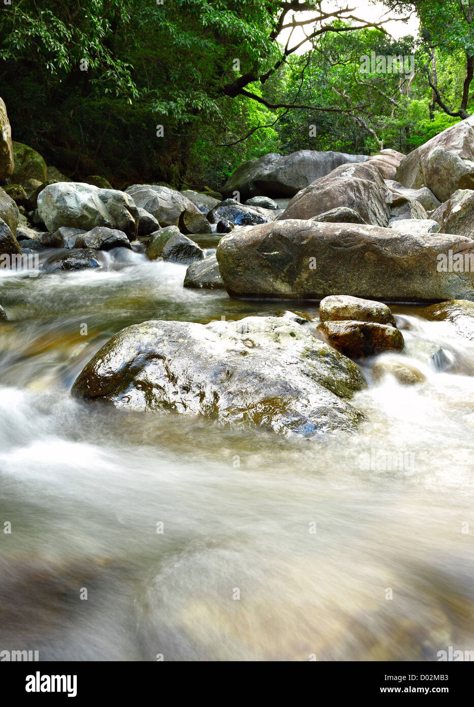 water spring in forest Stock Photo - Alamy