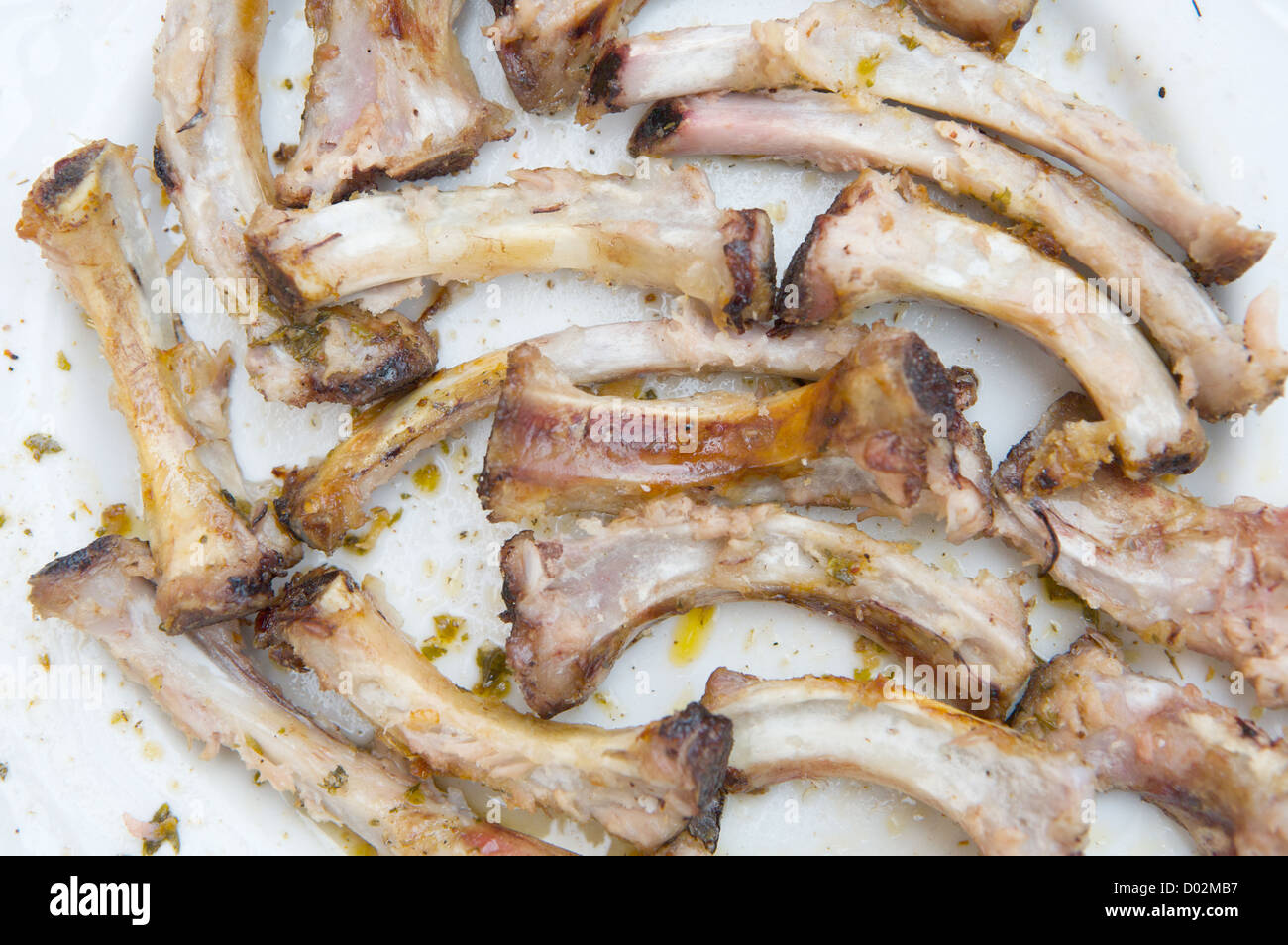 Food, many bones, a treat for my pet Stock Photo - Alamy