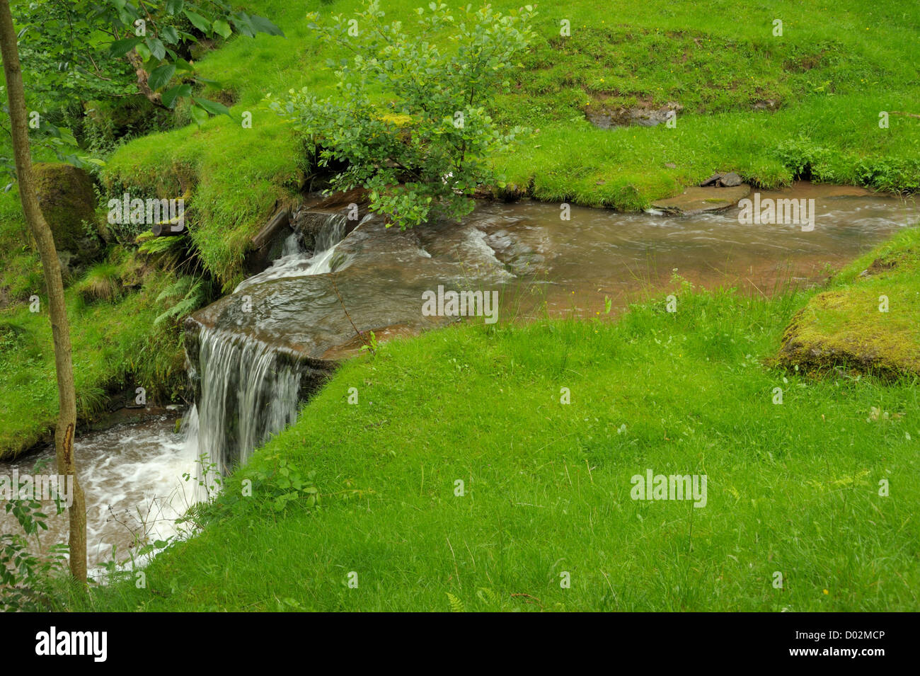 Felindre hi-res stock photography and images - Alamy