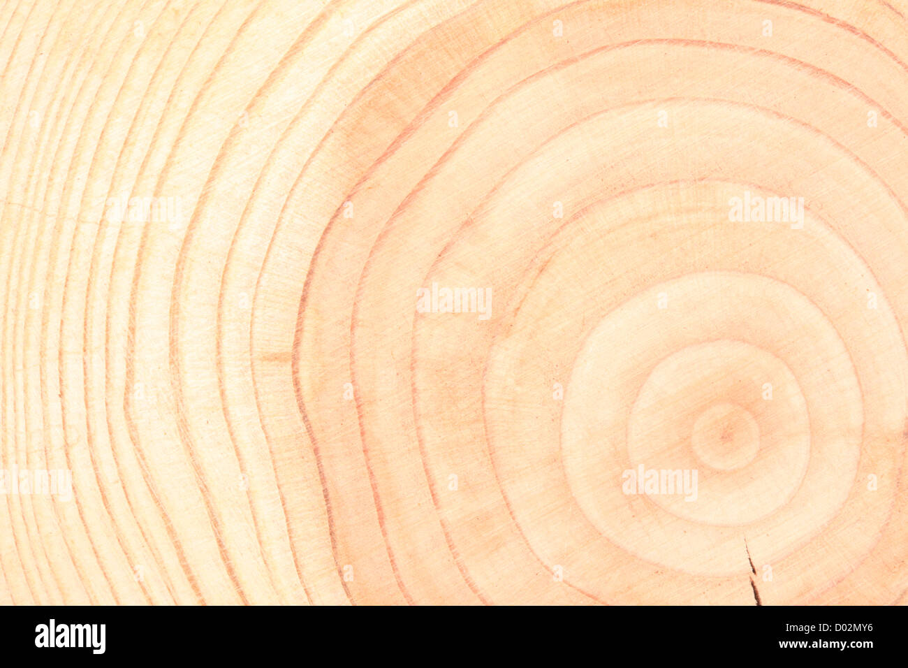 Tree ring hi-res stock photography and images - Alamy