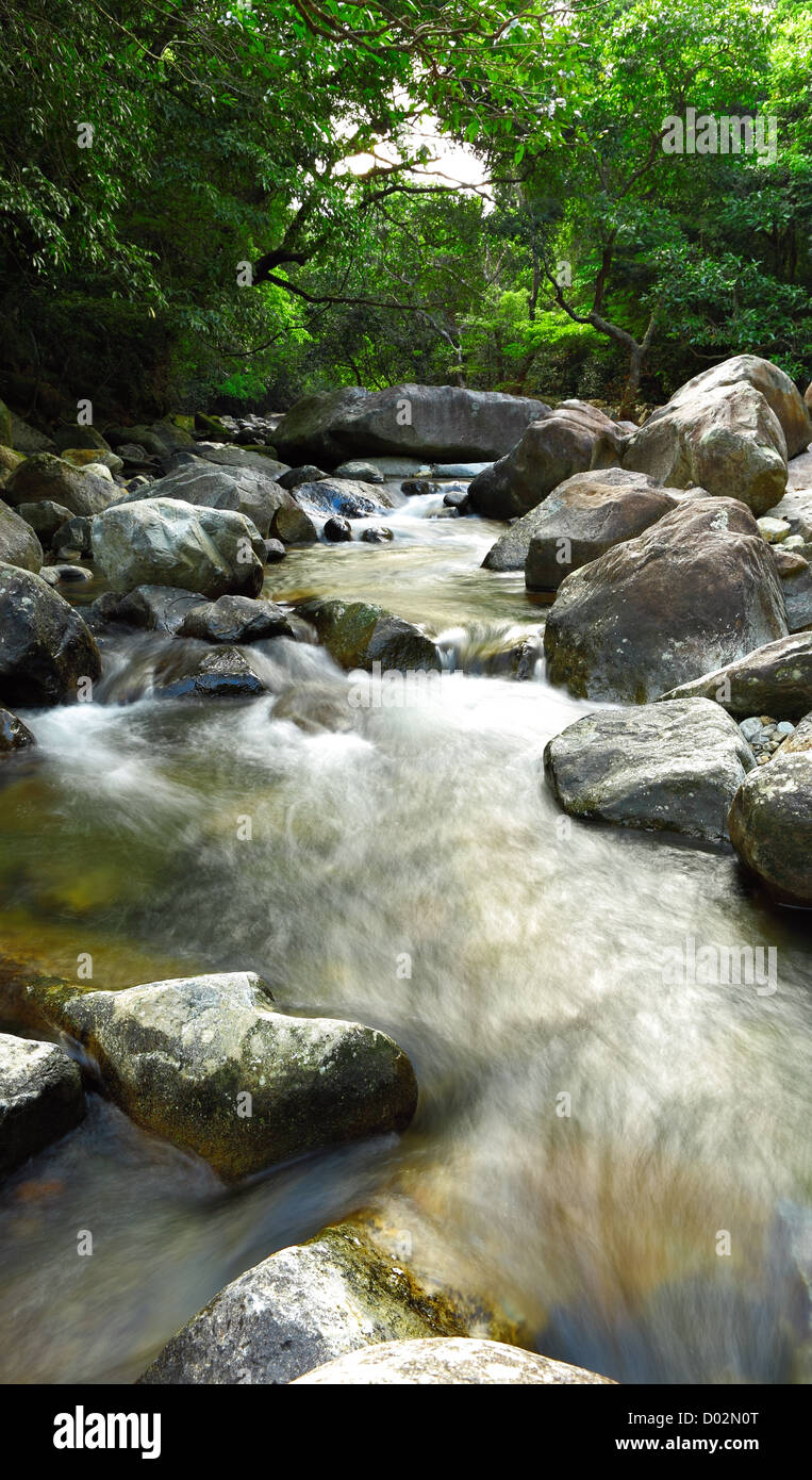 water spring in forest Stock Photo - Alamy