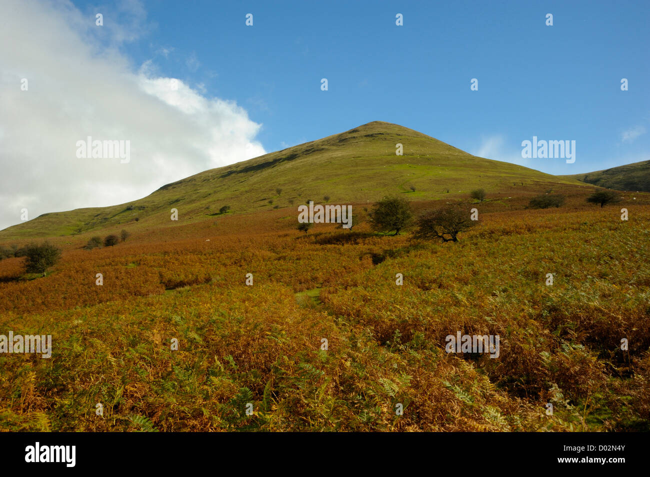Y Das near Rhos Dirion on the Black Mountains Stock Photo - Alamy
