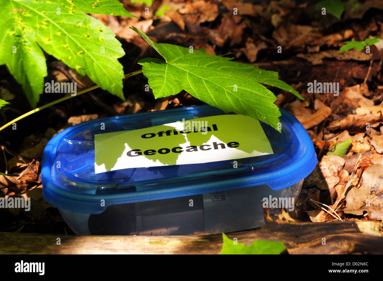 geocaching concept with cache box in nature Stock Photo - Alamy