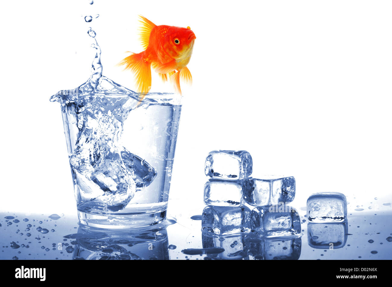 goldfish in water glass fishtank isolated on white background Stock ...