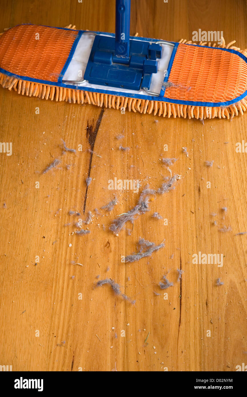 Dust mop hi-res stock photography and images - Alamy