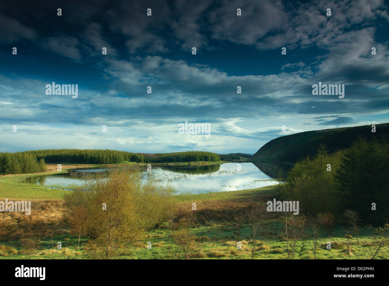 East Renfrewshire High Resolution Stock Photography and Images - Alamy