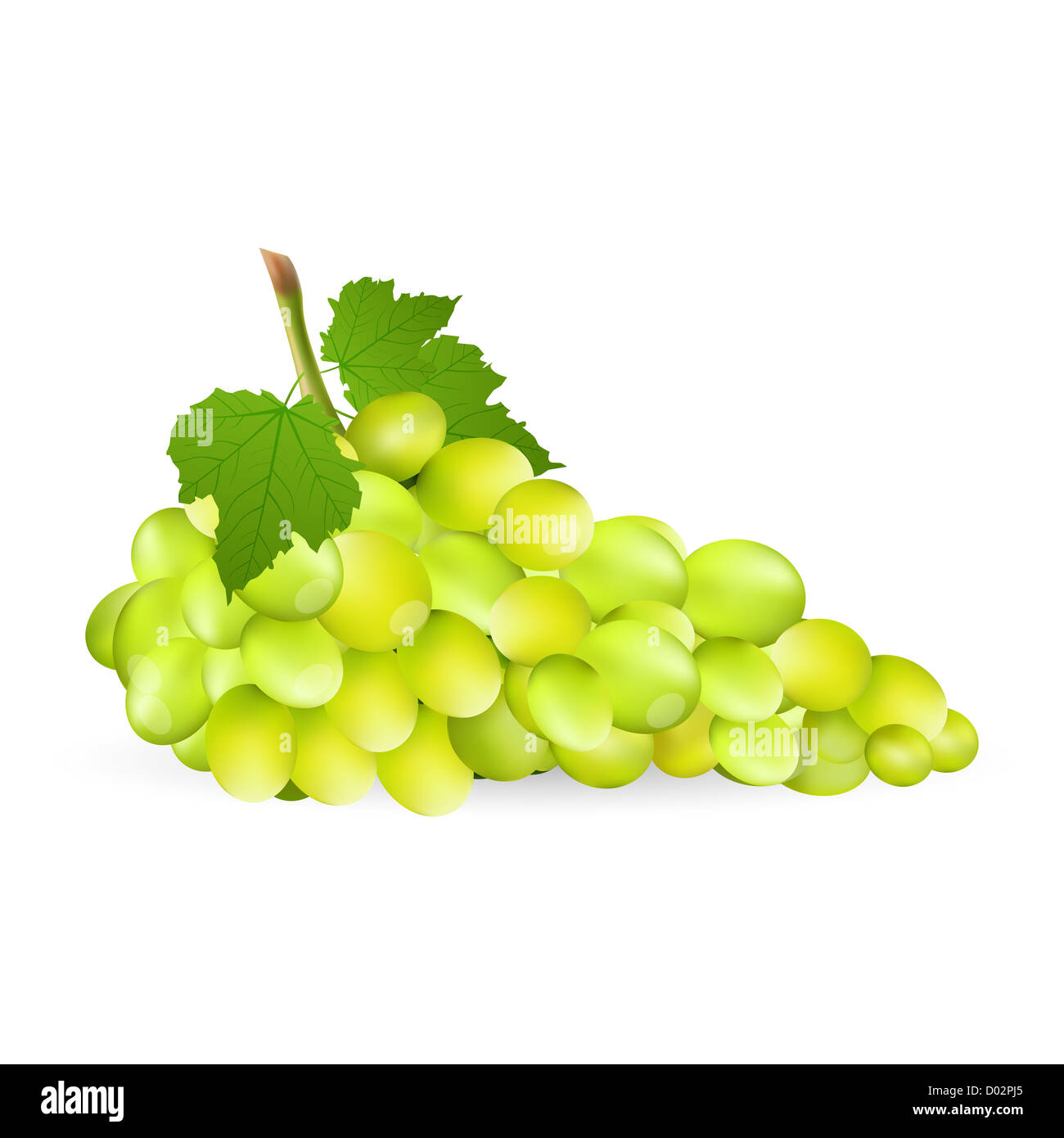 illustration of grapes with leaf on white background Stock Photo - Alamy
