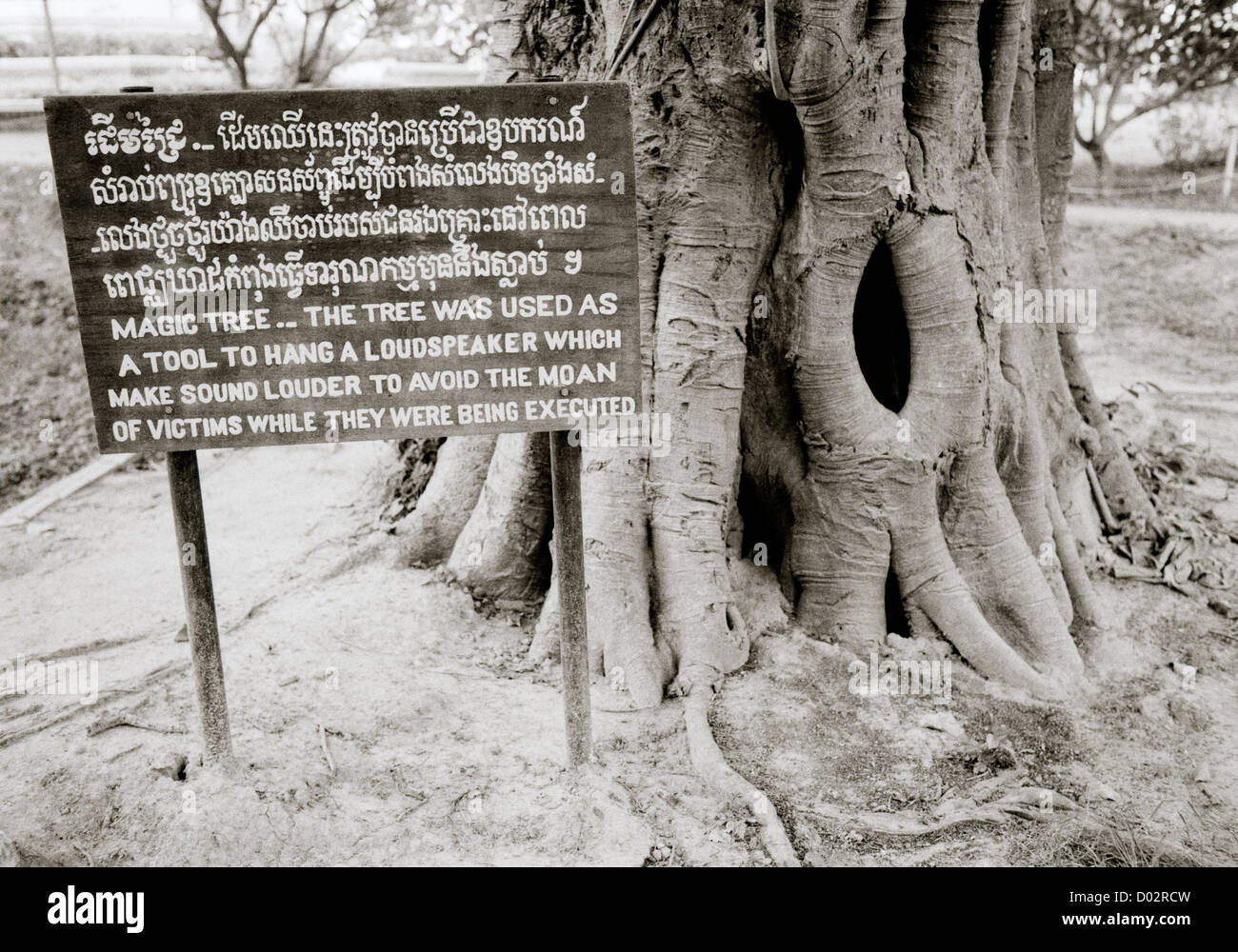 Magic Tree in Choeung Ek Killing Fields in Phnom Penh in Cambodia in ...