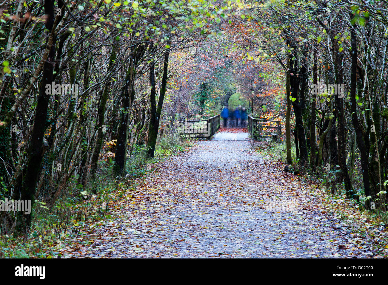 The Old Railway Path between Keswick and Threlkeld Cumbria England ...