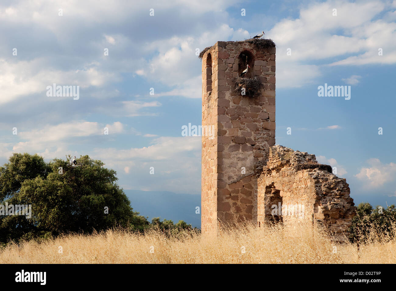 Old tower ruins with a beatiful sky Stock Photo - Alamy