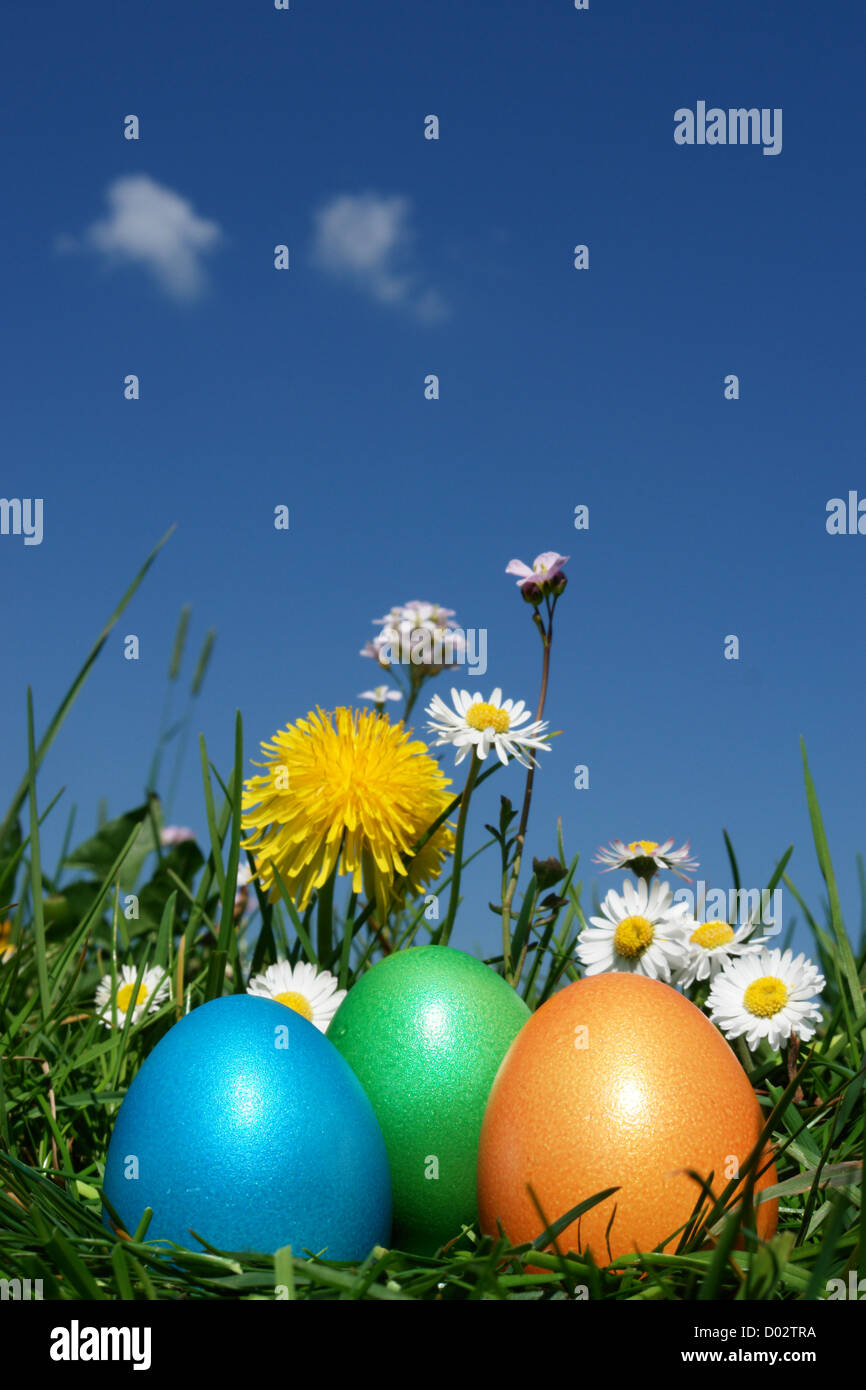 colorful Easter egg in the fresh spring meadow Stock Photo - Alamy