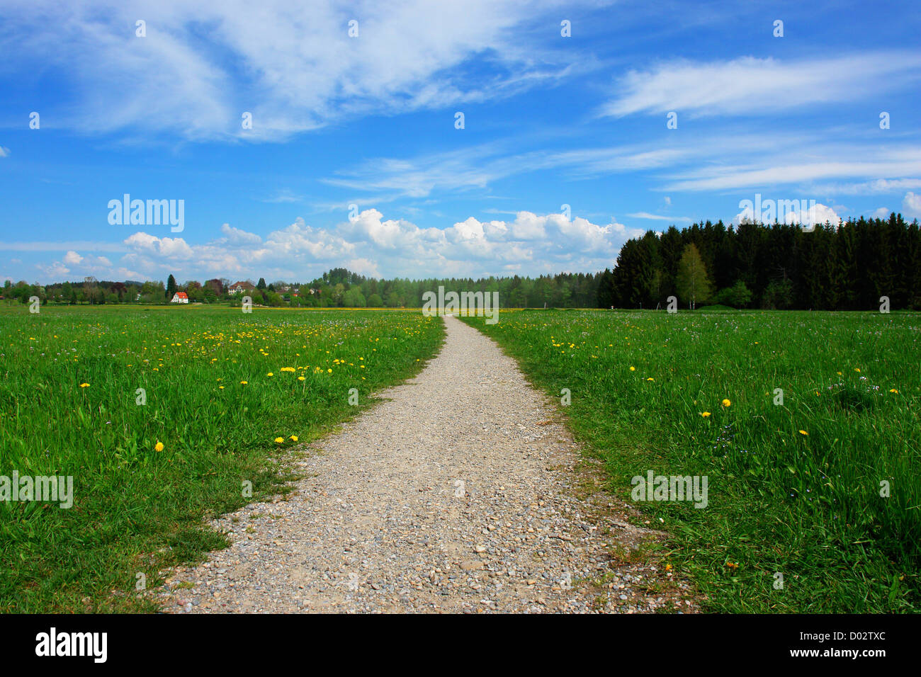 a path through a summer landscape on a sunny day Stock Photo - Alamy