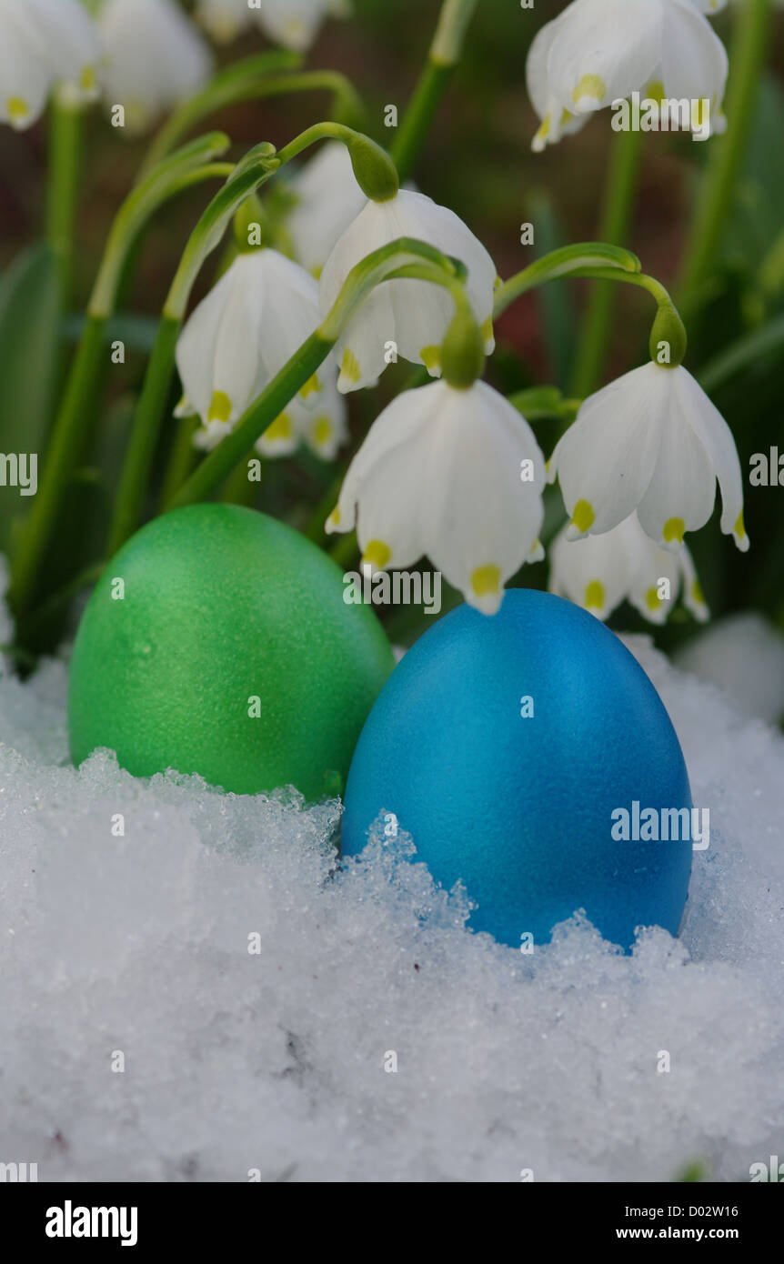 Snow bells flowers hi-res stock photography and images - Alamy