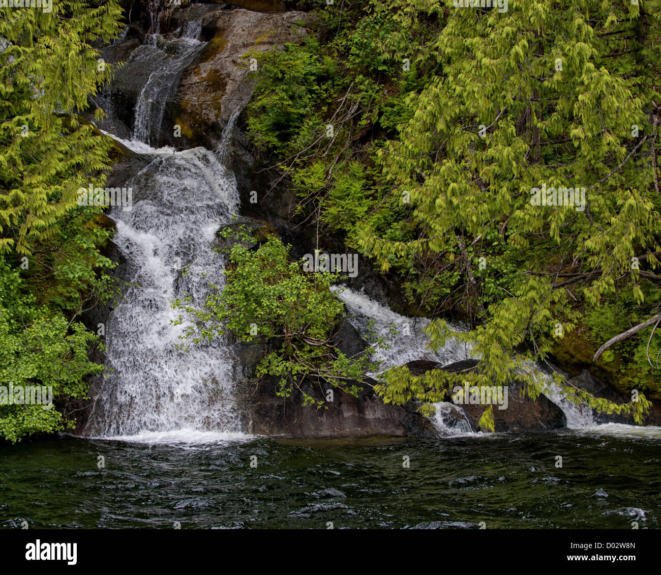 Ketchikan alaska floatplane hi-res stock photography and images - Alamy