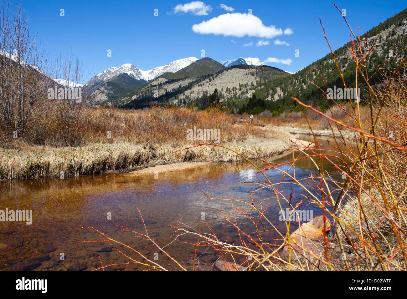Stream in Rocky Mountain National Park, Colorado, USA Stock Photo - Alamy