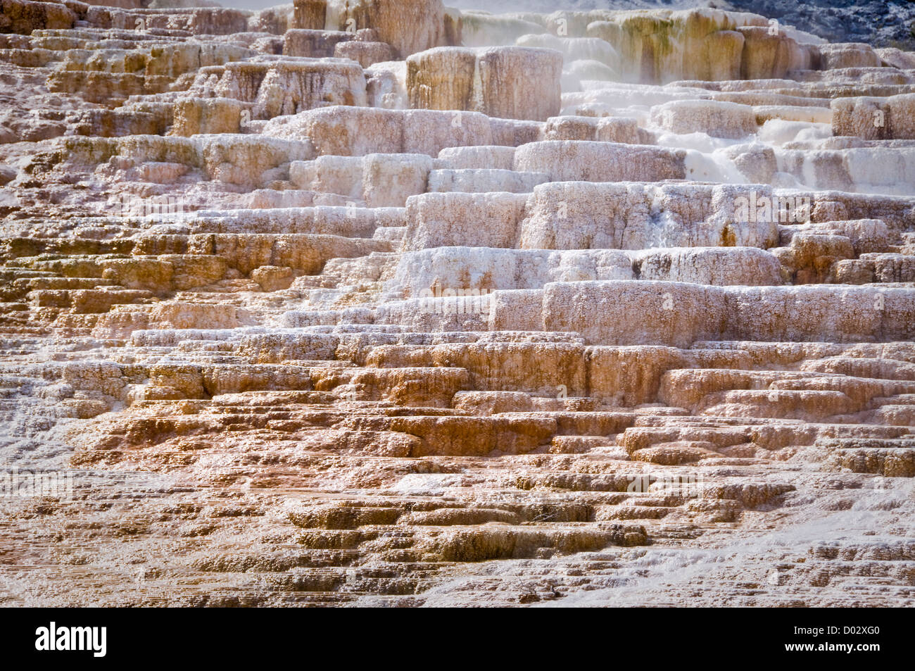 Mammoth terraces - Yellowstone national Park - Wyoming, USA Stock Photo ...