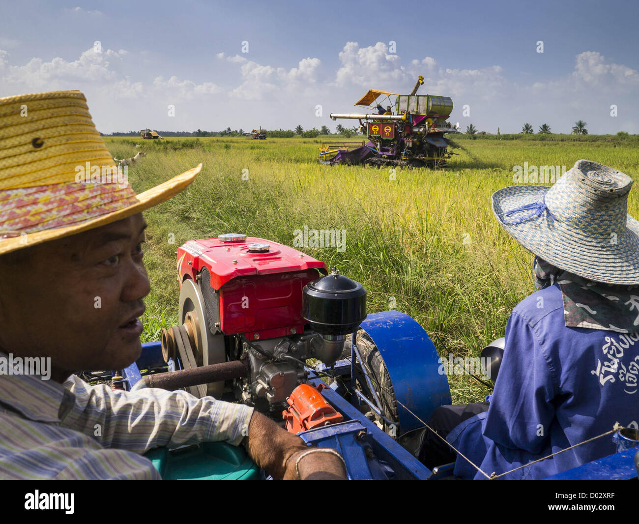 Thailand rice pathum thani not bangkok hi-res stock photography and ...