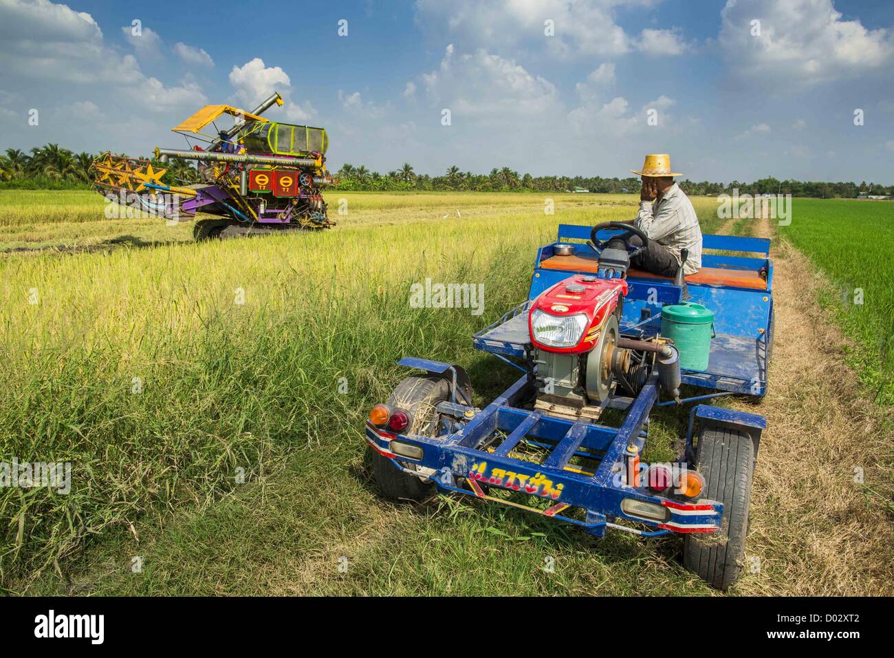 Thailand rice pathum thani not bangkok hi-res stock photography and ...