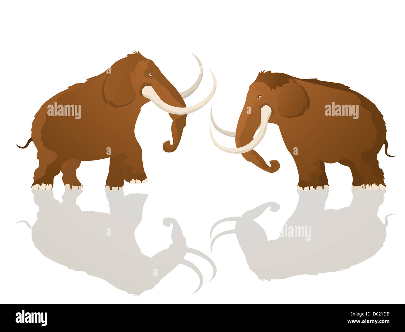 Two mammoth bulls charging, cartoon art Stock Photo - Alamy