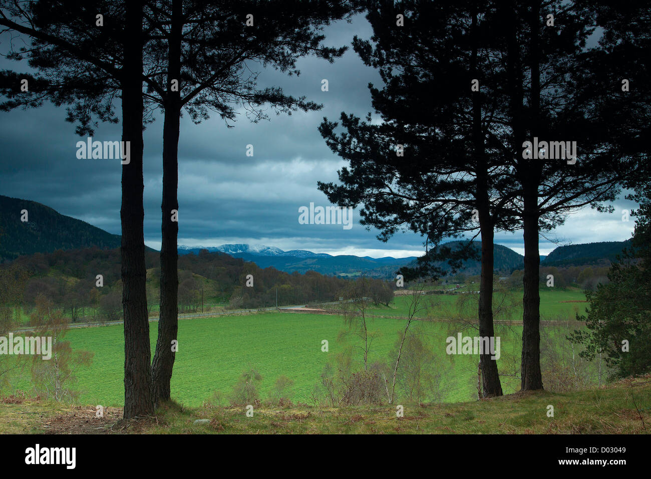 Cambus o' may, river dee scotland hi-res stock photography and images ...
