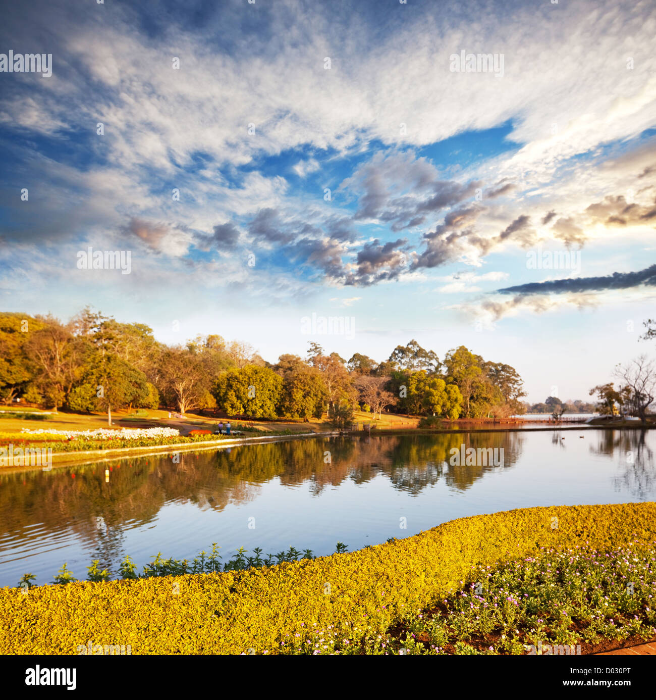 Lake in park Stock Photo - Alamy