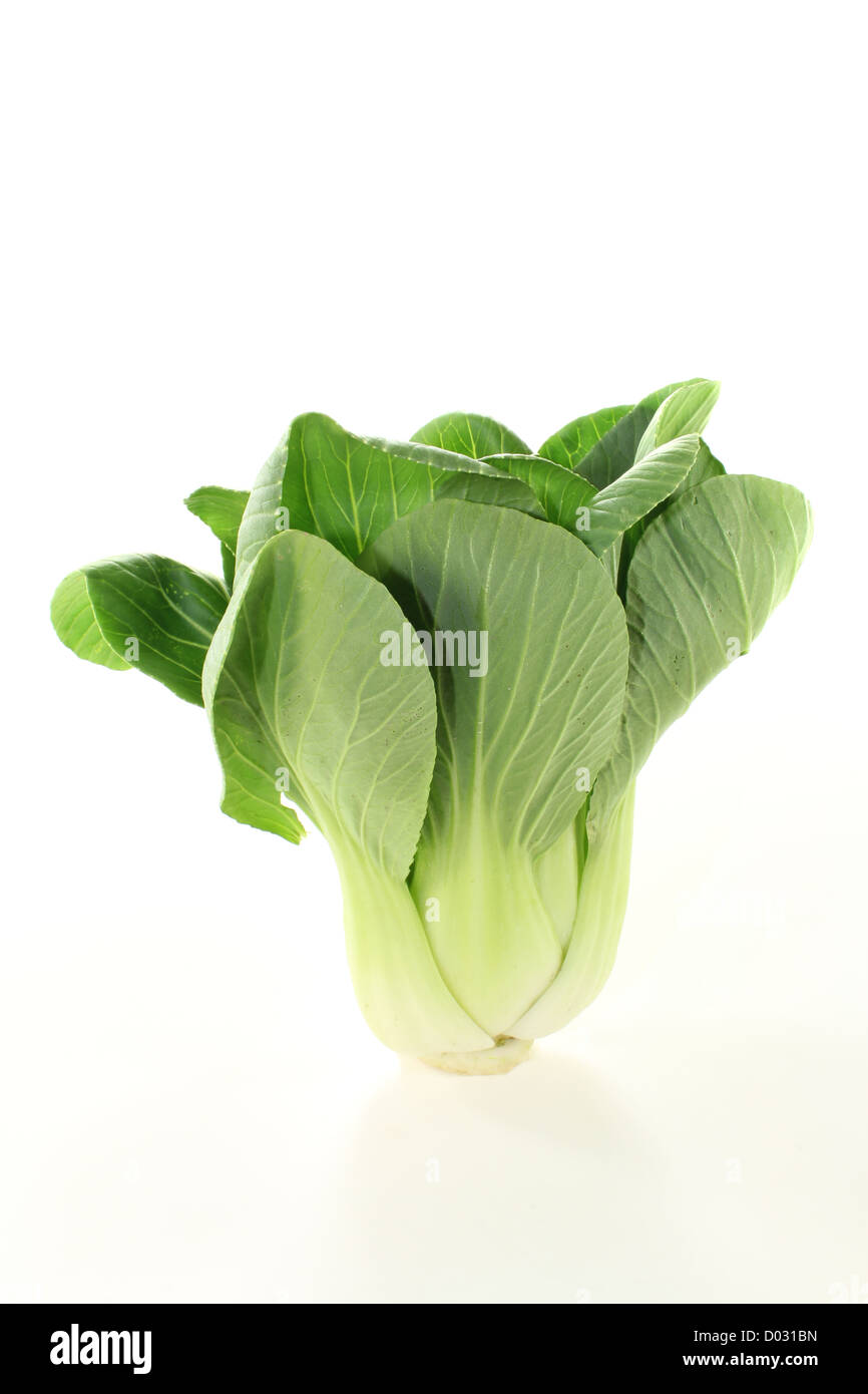 crisp fresh pak choi on a light background Stock Photo - Alamy