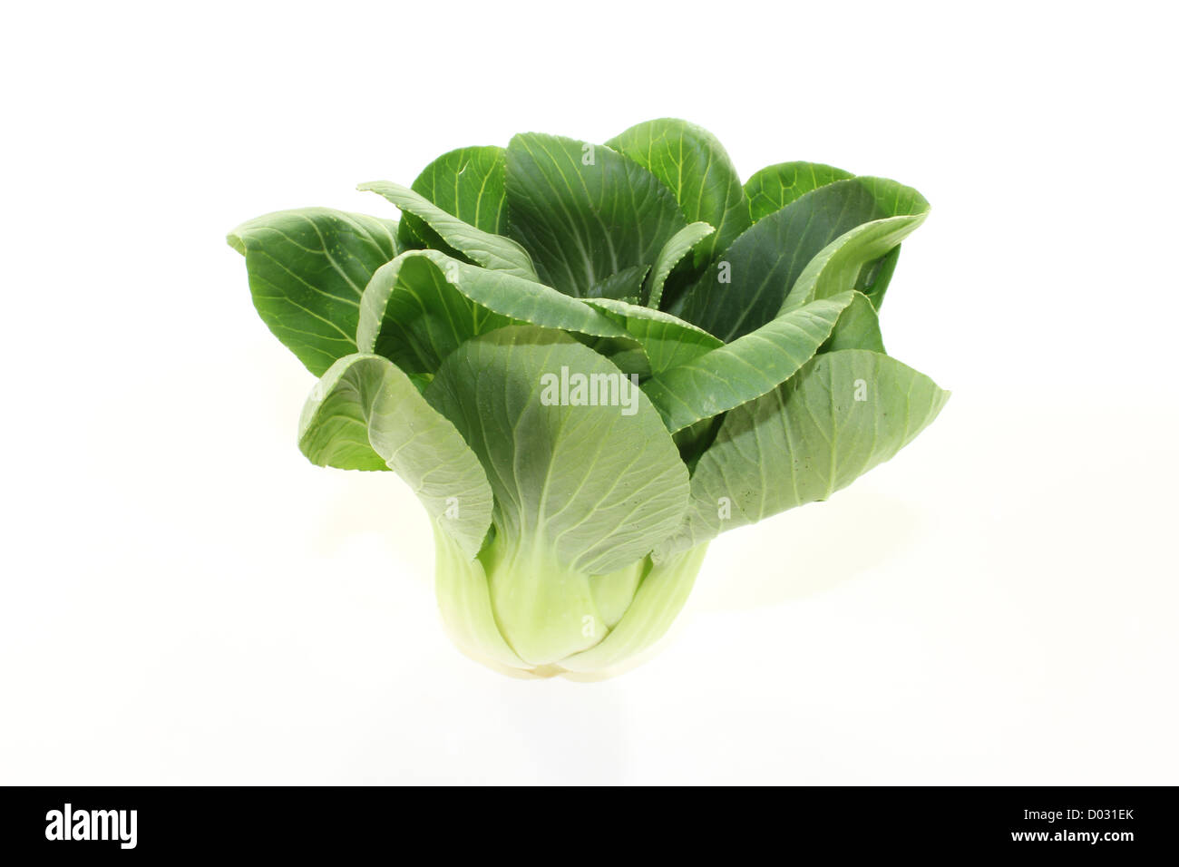 crisp white and green pak choi on a light background Stock Photo - Alamy