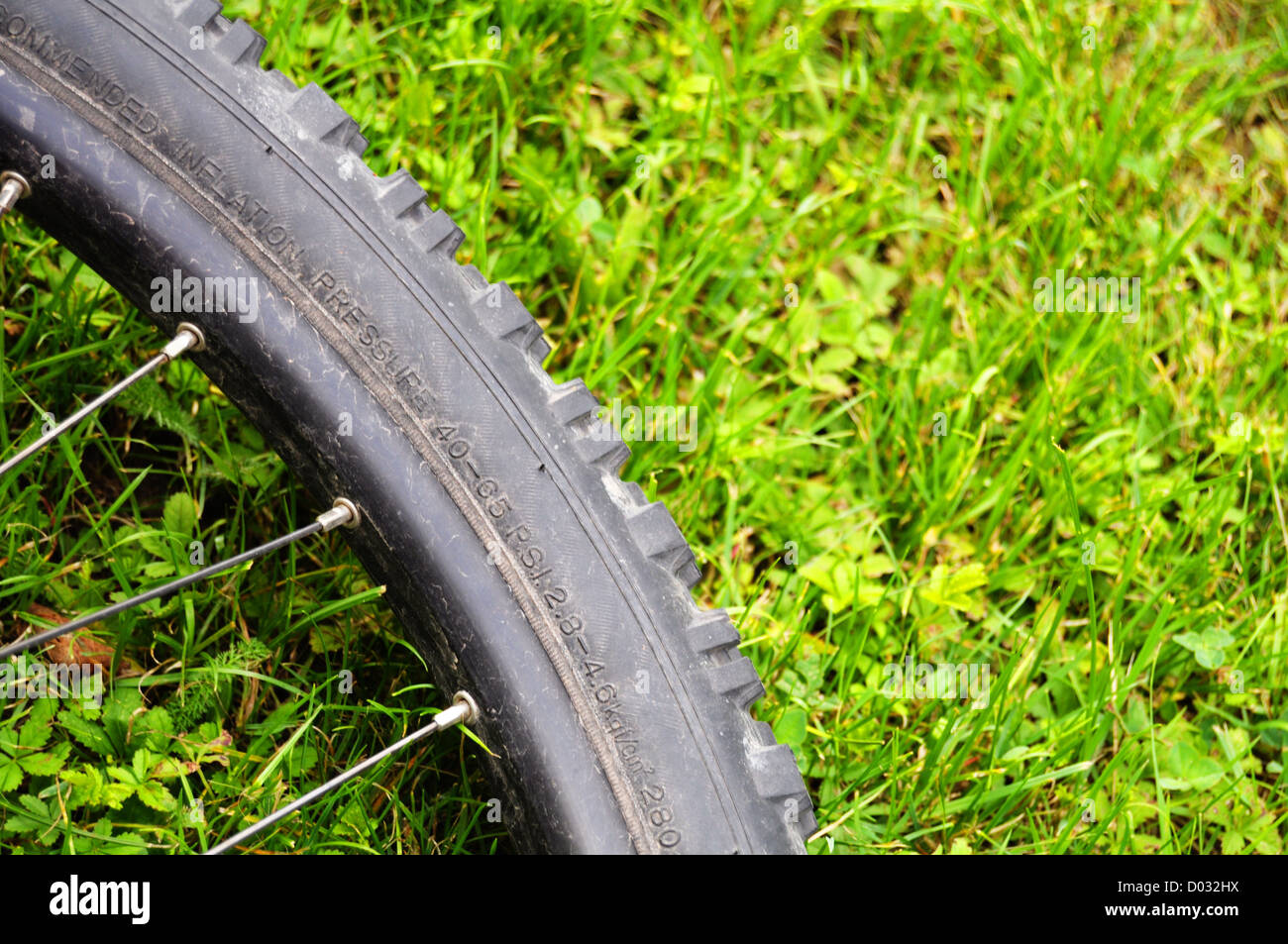 mountain bike offroad tire in green grass showing sport in nature ...